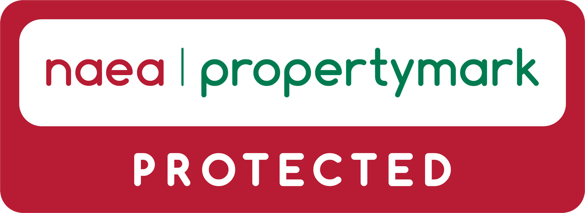 NAEA Property mark - Salter McGuinness